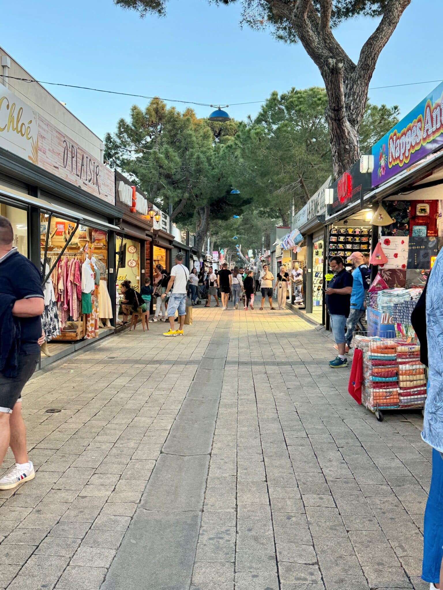 Die Allée des Pins: Ein Juwel zum Entdecken am Camping Bois Fleuri